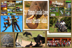 21 Things Locals Love about Greater Addo - Chrislin
